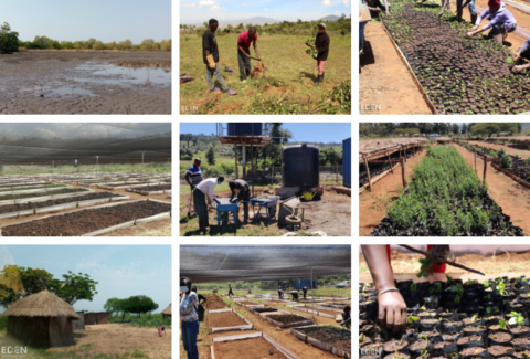 Eden Reforestation Project Update – December 2021 | Future-tech